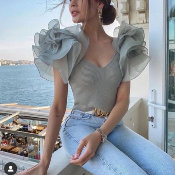 Zara | Tops | Zara Mid Green Organza Crop Top Nwt | Poshmark